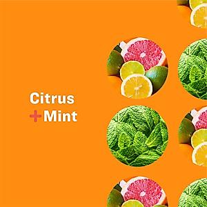 Everyone 3-in-1 Soap, Body Wash, Bubble Bath, Shampoo, 32 Ounce (Pack of 2), Citrus and Mint, Coconut Cleanser with Plant Extracts and Pure Essential Oils