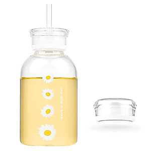 WHJY 16oz Cute Water Bottle, Matte Glass Water bottle with Straw, Milk Juice Glass Water Bottle with Scale, with 2 Lids, Little Daisy Sunflower Matte Portable Water Cup - Clear 4 Sunflowers