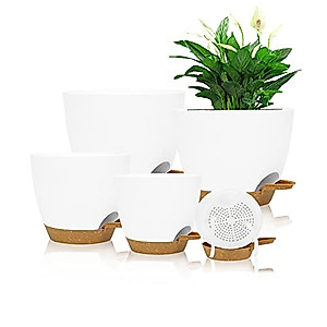 Self Watering Planters with Drainage Holes Reservoir,Nursery Planting Pot for Indoor Decor Garden Plants Succulents,Snake Plant, African Violet,Plastic Flower Pots Set 7+6.5+6+5.5+5 Inch (White)