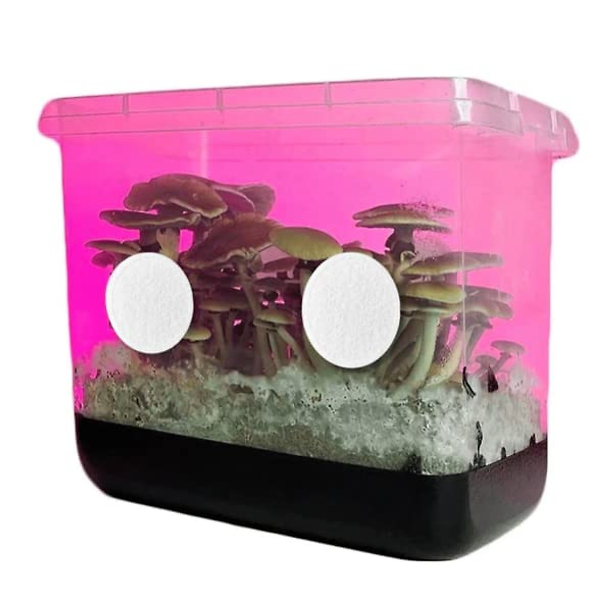 3" Adhesive Waterproof Monotub PTFE Membrane Disc Filters (1 Sheet - 4 Filters)