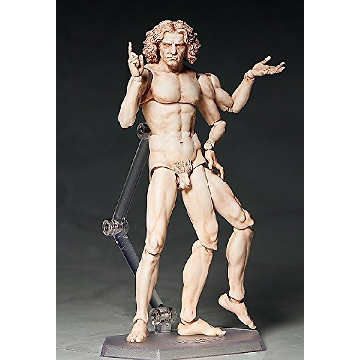 FREEing Table Museum The Vitruvian Man Figma Action Figure