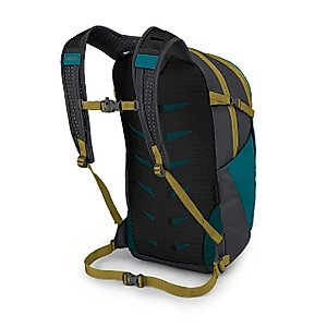 Osprey Daylite Plus Daypack, Deep Peyto Green/Tunnel Vision, One Size