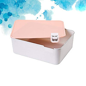 Cabilock Bra Storage Box with Lid Plastic Underwear Drawer Closet Organizer Bra Dividers Storage Boxes for Bedroom Dormitory