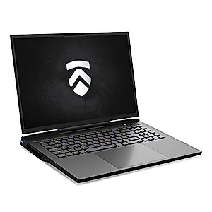 Eluktronics MECH 17 GP2 Liquid Cooled Gaming Laptop: Intel i9-13900HX, NVIDIA RTX 4090, 17" 16:10 240Hz QHD G-SYNC Display, Cherry Keyboard, 99WHr Battery, 1TB PCIe Gen 4 SSD, 32GB DDR5 RAM LPP G2