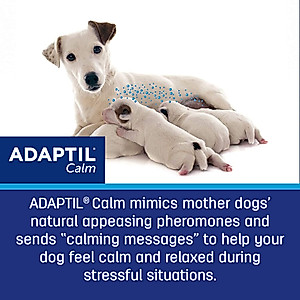 ADAPTIL Calming Pheromone Collar for Dogs, Medium/Large