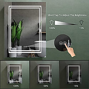 Vyaya Modern Home Decor Ontario 24" W x 32" H Rectangular Silver Aluminum Recessed or Surface Mount Mirror Medicine Cabinet