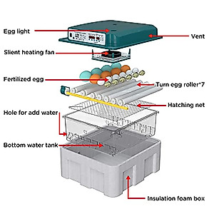 Ganggend 36 Eggs Incubators for Hatching Egg with Automatic Turner, Temperature Control Chickens Quail Egg Incubator, 12V/110V Humidity Monitoring Incubators for Farm Poultry Duck