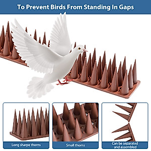 Bird Spikes, 30 Pack Bird Squirrel Raccoon Pigeon Cat Animal Deterrent Spikes for Outside Anti Bird Defender Spikes Outdoor to Keep Birds Away