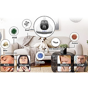 Boreas Handheld Allergen Vacuum Cleaner UV Bed Vacuum, Mattress Vacuum Cleaner, Large Pulsating Pad, True HEPA Filter, Removes Dander, Hair, Dust, Pollen, for Allergies, Pets | Bedding, Sofa, AP002