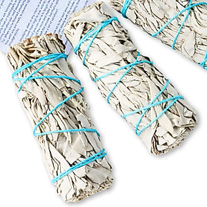 6 Pack White Sage ~ Sage Smudge Sticks for Smudging & Cleansing Energy ~ Bulk / Wholesale ~ Sustainably Grown (6 Pack)