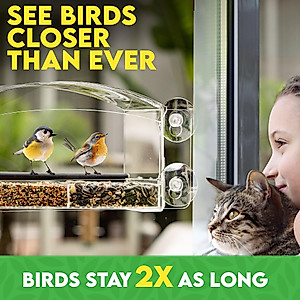 Gray Bunny Window Bird Feeder with Strong Suction Cups, Modern Window Bird Feeders for Outdoors Viewing, Clear Transparent Squirrel Proof Birdfeeder, Drain Holes, Removable Tray, Large Seed Capacity