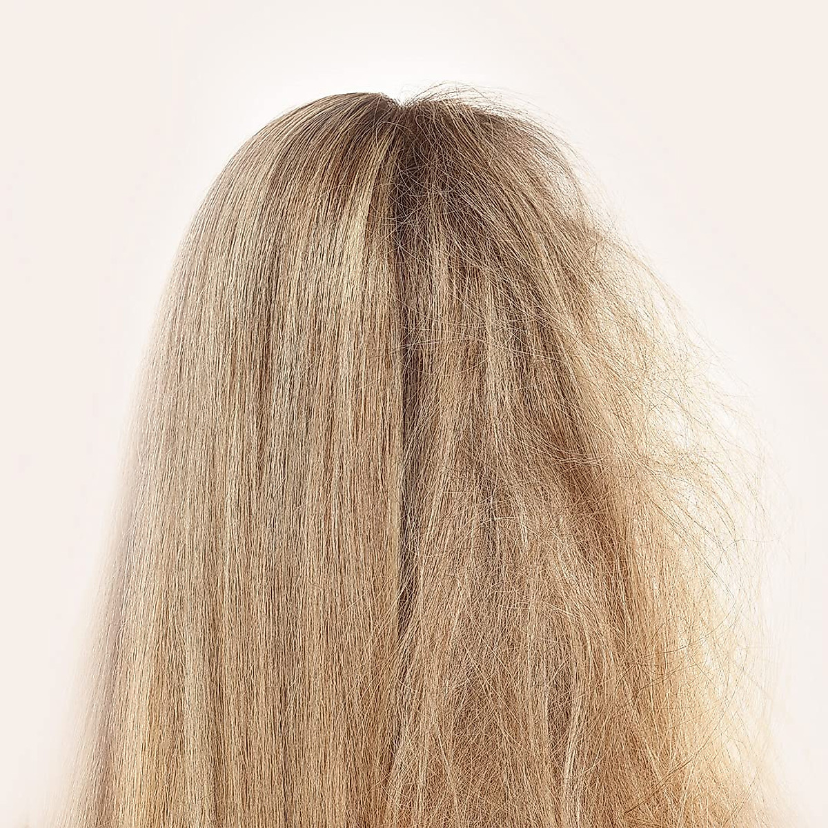 Rausch Egg Oil Nutrient Shampoo 200 ml - For Dry Hair Structure - Scalp Treatment - Soothes & Regulates - German Personal Care