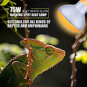 Infrared Heat lamp Basking Spot Light Bulb，LEDESIGN 75 Watt White Heat Lamp Bulbs for Reptiles and Amphibian Use, 2 Packs (White)