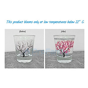 APROFAMILY Emotional Korean Soju Glass Cup with Changing Cherry Blossom Color 4pcs Set Whiskey, tequila, sake, and other alcoholic beverages are available (SOJU(4PCS))