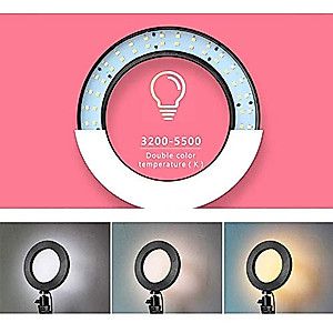 Webcam Streaming Light, Webcam Stand with 6'' Ring Light, USB Webcam Light Mount Kit for Logitech Webcam C920s C920 C930e C922x C930 C922 C925e C615 Brio - Dual 25 inch Arm Stand