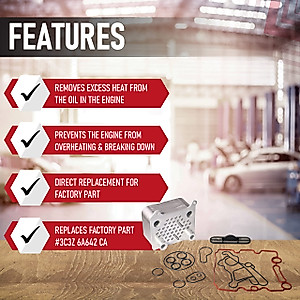 Engine Oil Cooler Kit - Compatible with Ford Trucks - Powerstroke 6.0L V8 F250, F-350, F450, F550 Super Duty, Excursion, E350, E-450 - Replaces Part 904-228, OCK388, 3C3Z 6A642 CA - Gasket Seal Kit