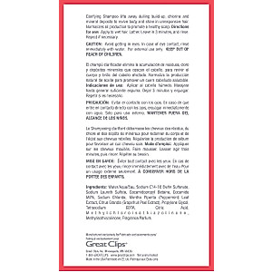 GREAT CLIPS Solutions Clarifying Shampoo 10 fl oz | Removes Build-up | For All Hair Types | Great for Swimmers