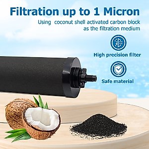Larayci Water Filter Replacement for Berkey® BB9-2 Black Activated Carbon Filters, Compatible with Berkey® Gravity Water Filter System, Pack of 4