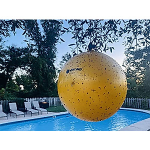 Title Gnat Ball - Replacement - Gnats, House Fly, No-See-Um, aphids whiteflies, and Love Bug Trap