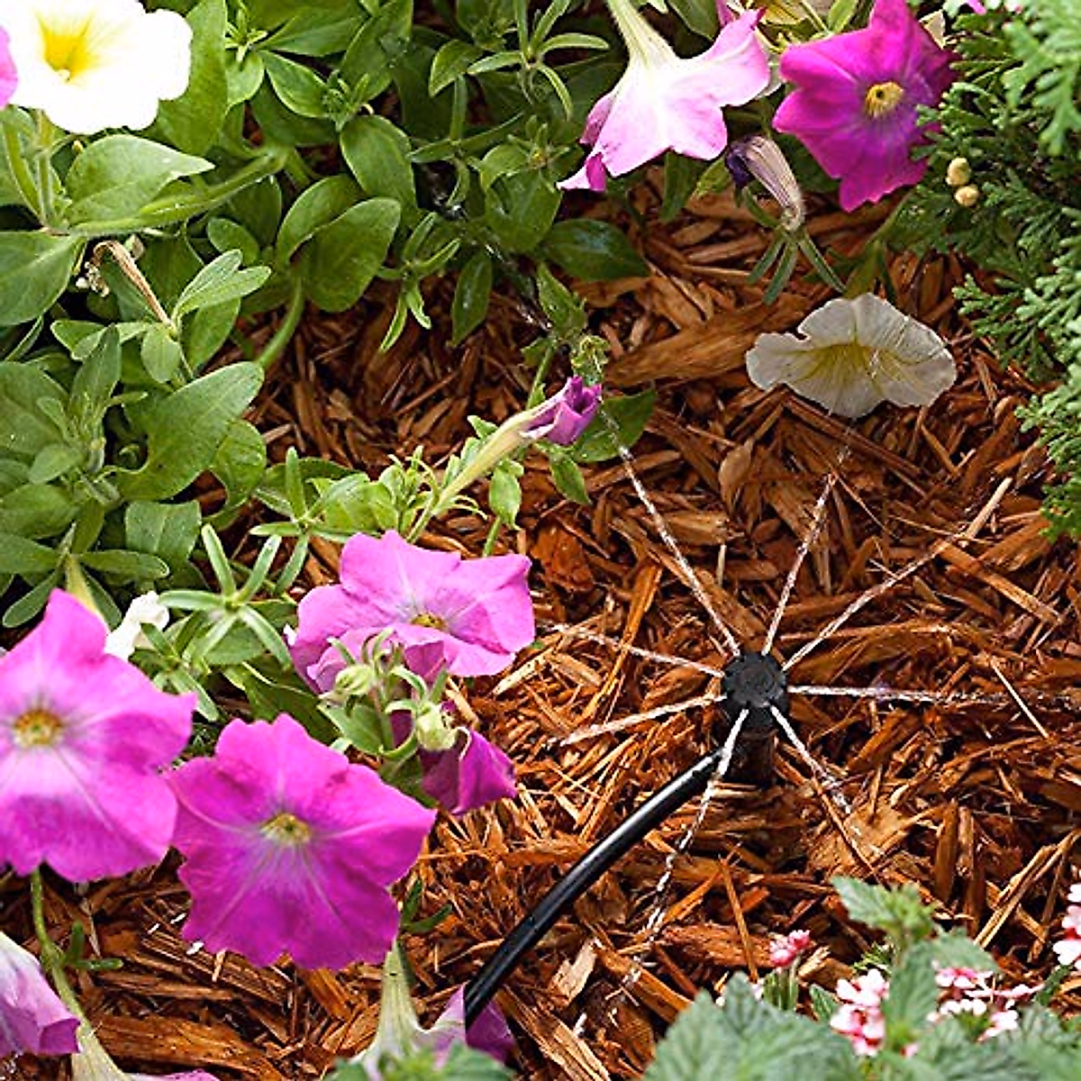 Adjustable Irrigation Drippers,Adjustable 360 Degree Water Flow Drip Irrigation System Drip Emitters for 4/7mm Tube PE Pipe for Flower beds, Vegetable Gardens, Herbs Gardens 50PCS