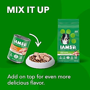 IAMS Adult Minichunks Small Kibble High Protein Dry Dog Food with Real Chicken, 7 lb. Bag
