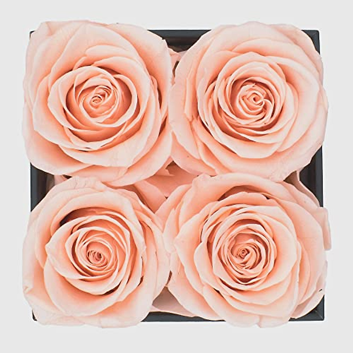 Chloe's Graceful Fleurs | Real Roses that Lasts for Years | Fresh Flowers for Delivery Birthday | Birthday Gifts for Women | Preserved Roses in a Box | Forever Rose Box | Mothers Day Gifts (Light Peach)