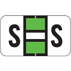 Doctor Stuff - File Folder Labels, Ringbook Sheets, Alphabet Letter S, POS 2000 - PP3R Match Compatible Alpha Stickers, Light Green, 15/16" x 1-5/8", 240 Labels per Pack
