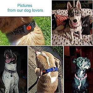 haapaw 2 Packs Martingale Dog Collar with Quick Release Buckle Reflective Dog Training Collars for Small Medium Large Dogs