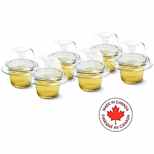 CatchMore Fruit Fly Traps | Effective Fruit Fly Trap for Indoor Use | Always Active (4+2 Bonus Pack)