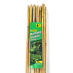 Jollybower 25pcs 1/2" D Thicker Heavy Duty Bamboo Stakes, 4FT Plant Stakes, Natural Garden Stakes for Tomato, Bean, Flowers,Trees Potted and Climbing Plant Support
