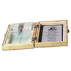 Konus 4881 Set 10 Slides Plants Reproduction - 10 Slides