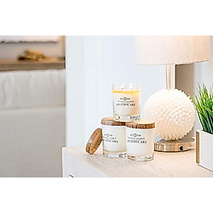 Apothecary Glass Jar Double Wick 14 Ounce Aromatherapy Soy Candle (Tobacco & Vanilla Bourbon)