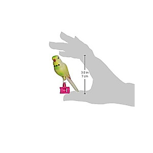 Penn-Plax (BA509 Acrylic Bird Figure, Small Size on Spring | Easily attaches to cage | Give Your Bird a New Friend