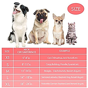 Dog Cone Collar for Small Medium Large Dogs for After Surgery, Pet Inflatable Neck Donut Collar Soft Protective Recovery Cone for Dogs and Cats - Alternative E Collar Does not Block Vision - Red,S