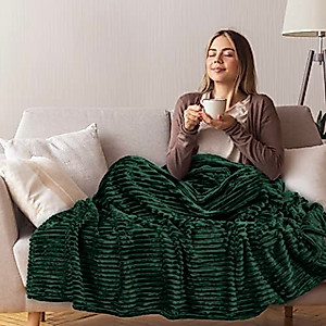 PAVILIA Cozy Fleece Blanket Throw | Fuzzy, Super Soft, Plush, Luxury Flannel Throw | Warm Ribbed Microfiber Blanket for Sofa Couch Bed (Emerald Green, 50x60 inches)