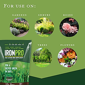 Iron Pro Fast Acting Supplement 5lb Earth Science – Iron Pro Fast Acting Iron Supplement for Use on Lawns, Flowers, and Vegetables with All Soil Types – Easy Application – Covers up to 1k Square Feet