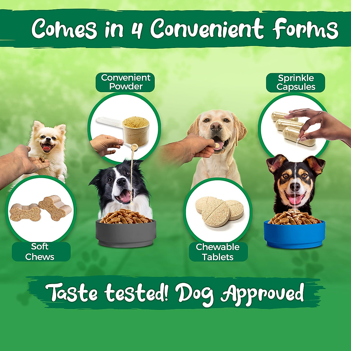 Vital Planet - Flora Dog Probiotic Chewable Tablets Supplement with 20 Billion Cultures and 10 Strains, High Potency Immune and Digestive Support Probiotics for Dogs, 30 Beef Flavored Chewable Tablets