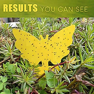 36 Pack Fungus Gnat Traps for House Plants, Yellow Sticky Traps for Indoor Outdoor Use to Get Rid of Whitefly Mosquitoes Fungus Gnats Thrips Leafminer Flying Insects Protect Your Plants