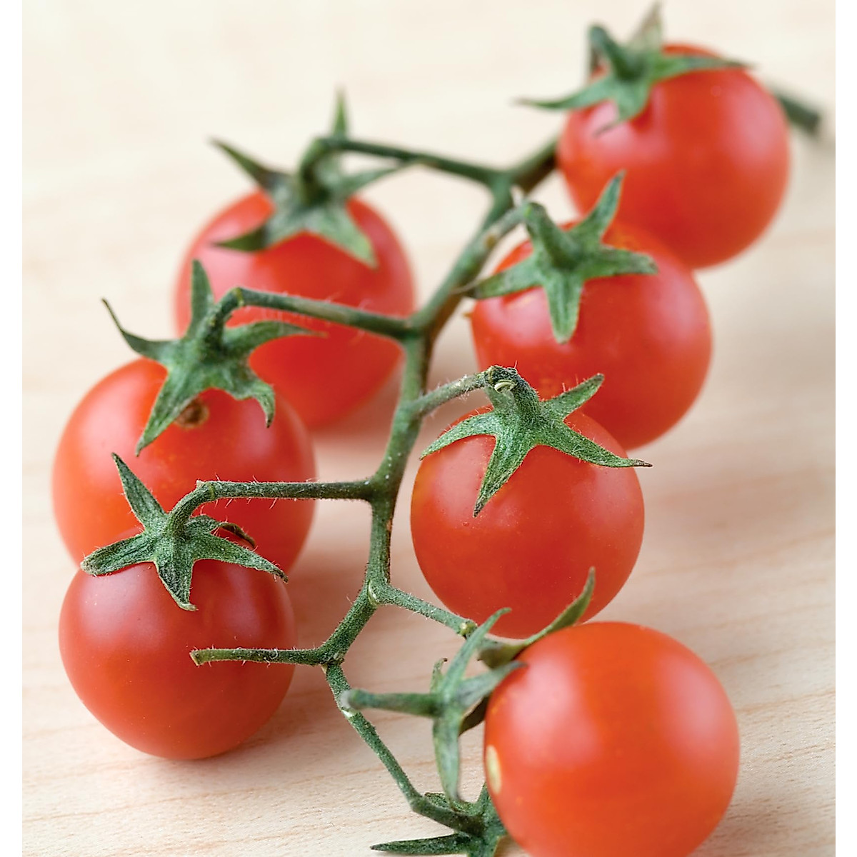 Burpee 'Red Currant', Red Cherry Tomato, Sweet Flavor, 60 Non-GMO Seeds