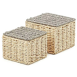 EZOWare Pack of 4 Paper Rope Wicker Storage Baskets with Lid, Lidded Woven Braided Organizer Cube Bins Boxes for Baby Kids Toy Nursery Room Home Closet - Beige and Gray