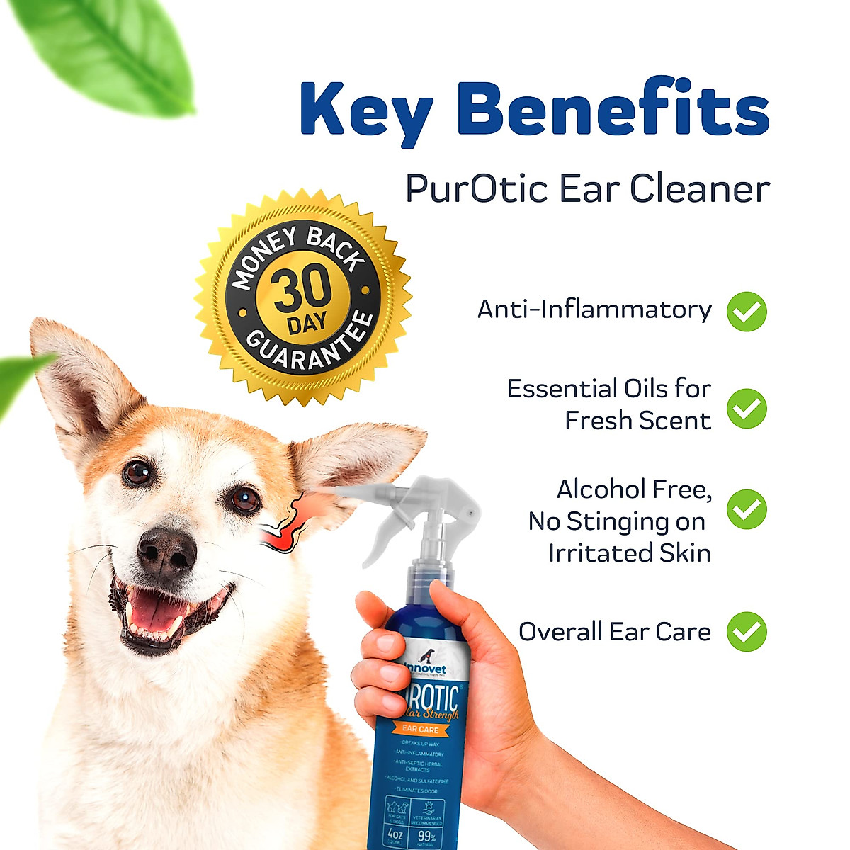 Innovet PurOtic Ear Cleaner for Dogs & Cats with Silicone Applicator Made With Essential Oils - 100% Made In USA - Regular Strength 4 oz Bottle