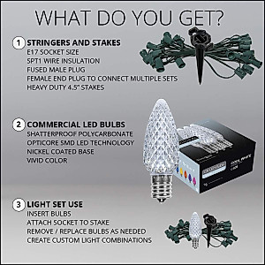 Wintergreen Lighting 25’ OptiCore LED Cool White Pathway Christmas Lights, C9 Outdoor White Christmas Lights, 4.5” Stakes, Green Wire Plug String Lights
