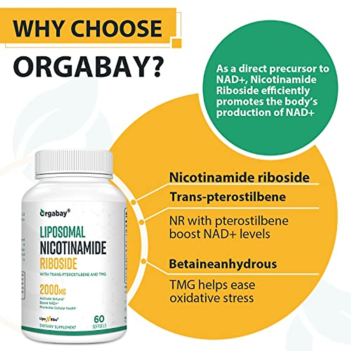 Orgabay Liposomal Nicotinamide Riboside 2000 MG with TMG and Pterostilbene, Boosting NAD+, Support Healthy Aging, 60 Count