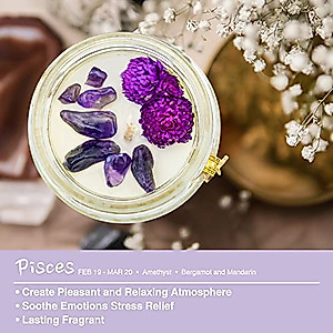 ZINCGE Pisces Zodiac Crystal Candle Gifts for Women, Astrology Spiritual Birthday Gifts Horoscope Natural Soy Bergamot Scented Candle with Dry Flowers and Amethyst Healing Crystals