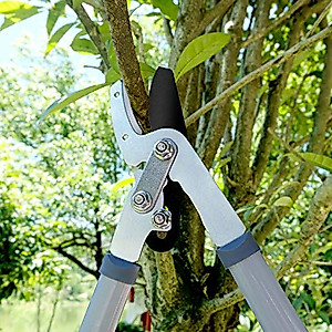 Altdorff Combo Pruning Shears Gardening Tools,3PCS Garden Shears Set include Loppers, Hedge Shear, Bypass Pruner, Professional Tree & Shrub Care Kit