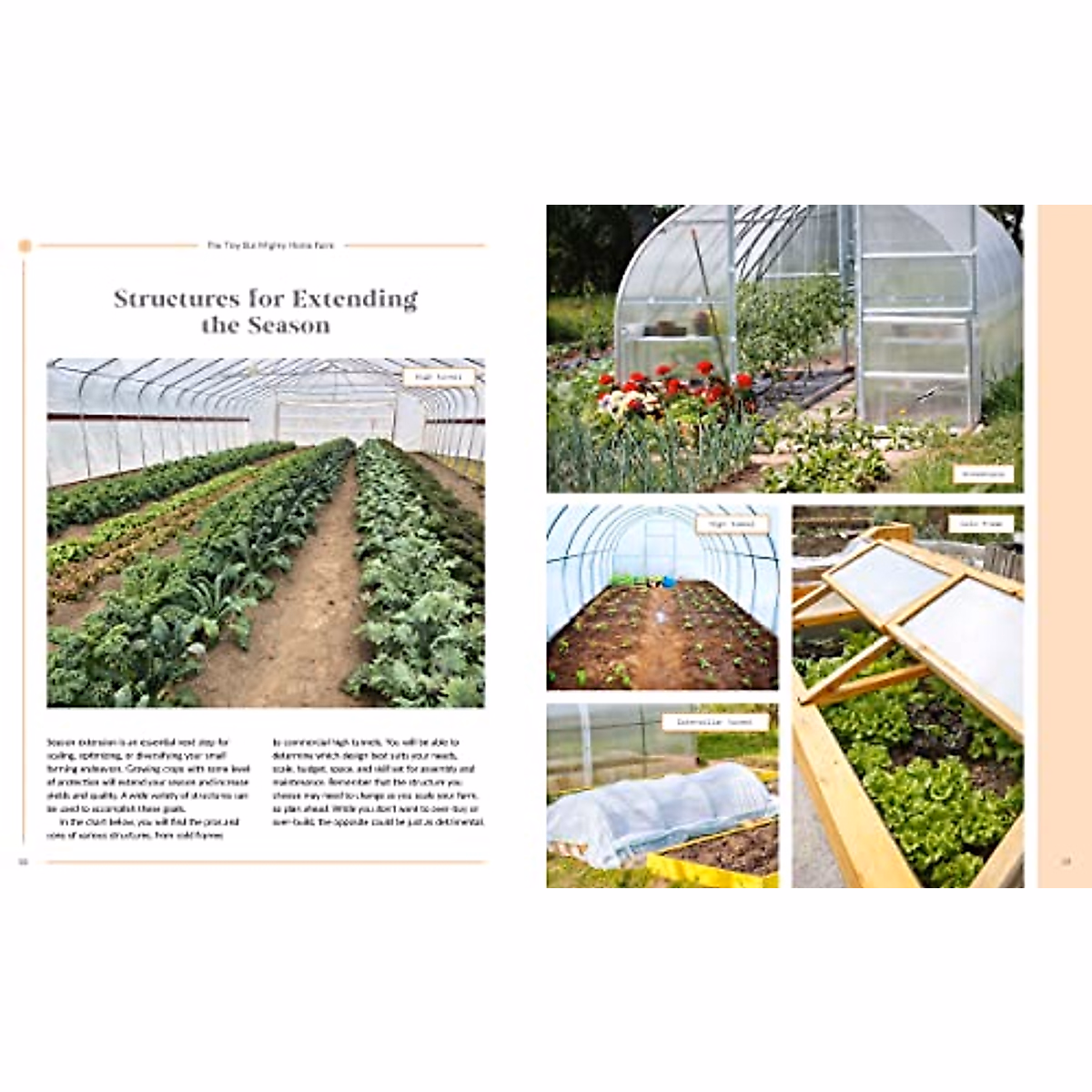 The Tiny But Mighty Farm: Cultivating High Yields, Community, and Self-Sufficiency from a Home Farm - Start growing food today - Meet the best ... yourself, your family, and your neighbors