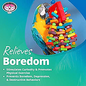 Super Bird Creations SB439 Beakasaurus Bird Toy, Large/XL Bird Size, 20" x 7" x 6"