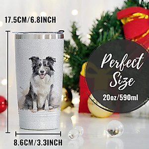 Onebttl Border Collie Gifts for Women/Men, Unique 20oz Border Collie Glitter Tumbler with Lid and Straw, Border Collie Gifts for Birthday, Christmas