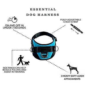 ShawnCo Essential Dog Harness, No-Pull Pet Vest with 3 Leash Clips, No Choke, Reflective, Adjustable and Padded, for Easy Walking and Training for Small, Medium and Large Dogs (Rose Gold, L)