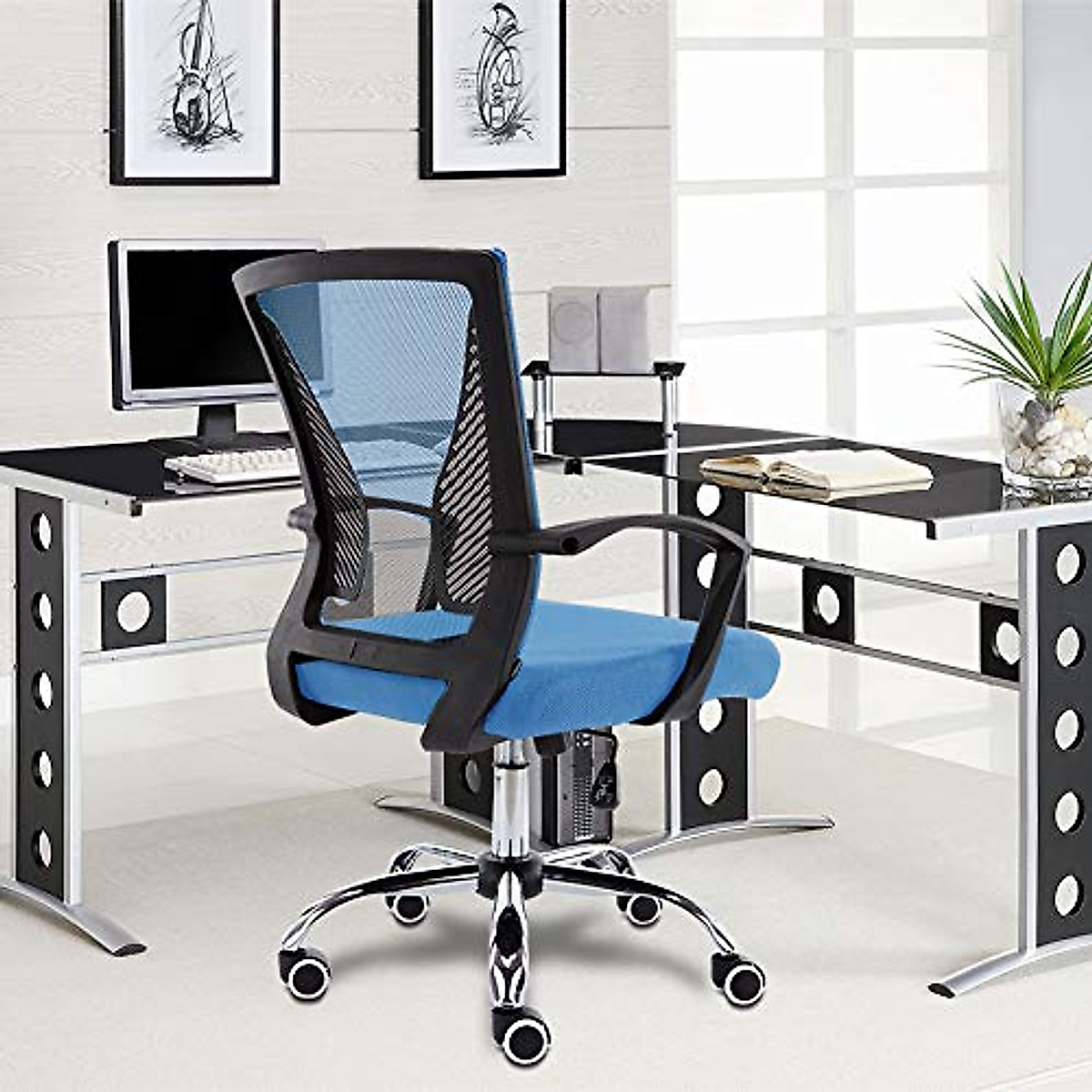 Modern Home Zuna Mid-Back Office Task Chair - Ergonomic Back Supporting Mesh Back Desk Chair (Black/Blue)